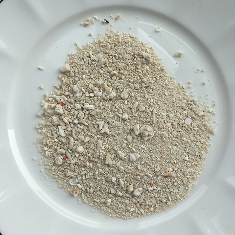 Coral Sand - Buy natural crushed good quality sand, aquarium fish tank ...